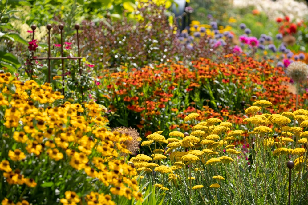 De perfecte kleurcombinaties voor je border: tips & inspiratie ...
